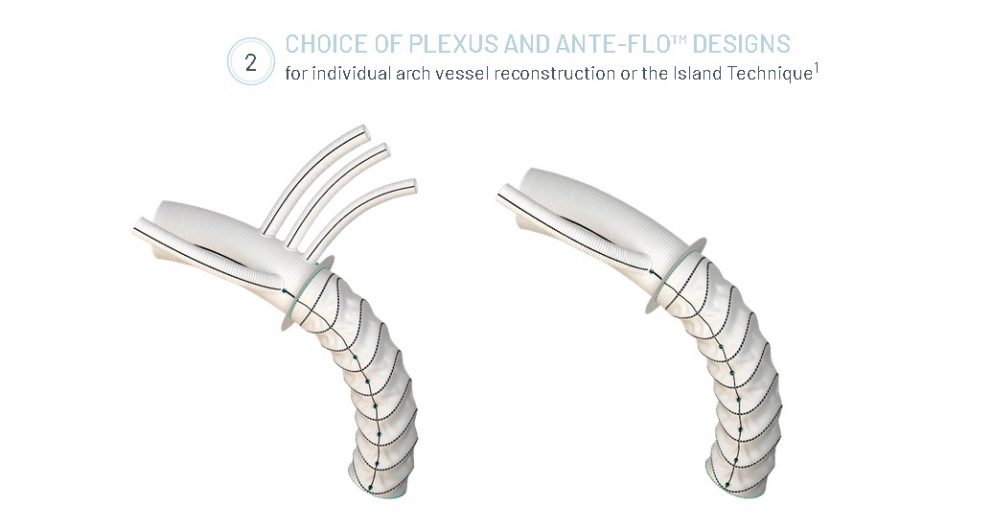 Thoraflex Hybrid – Aston-Med